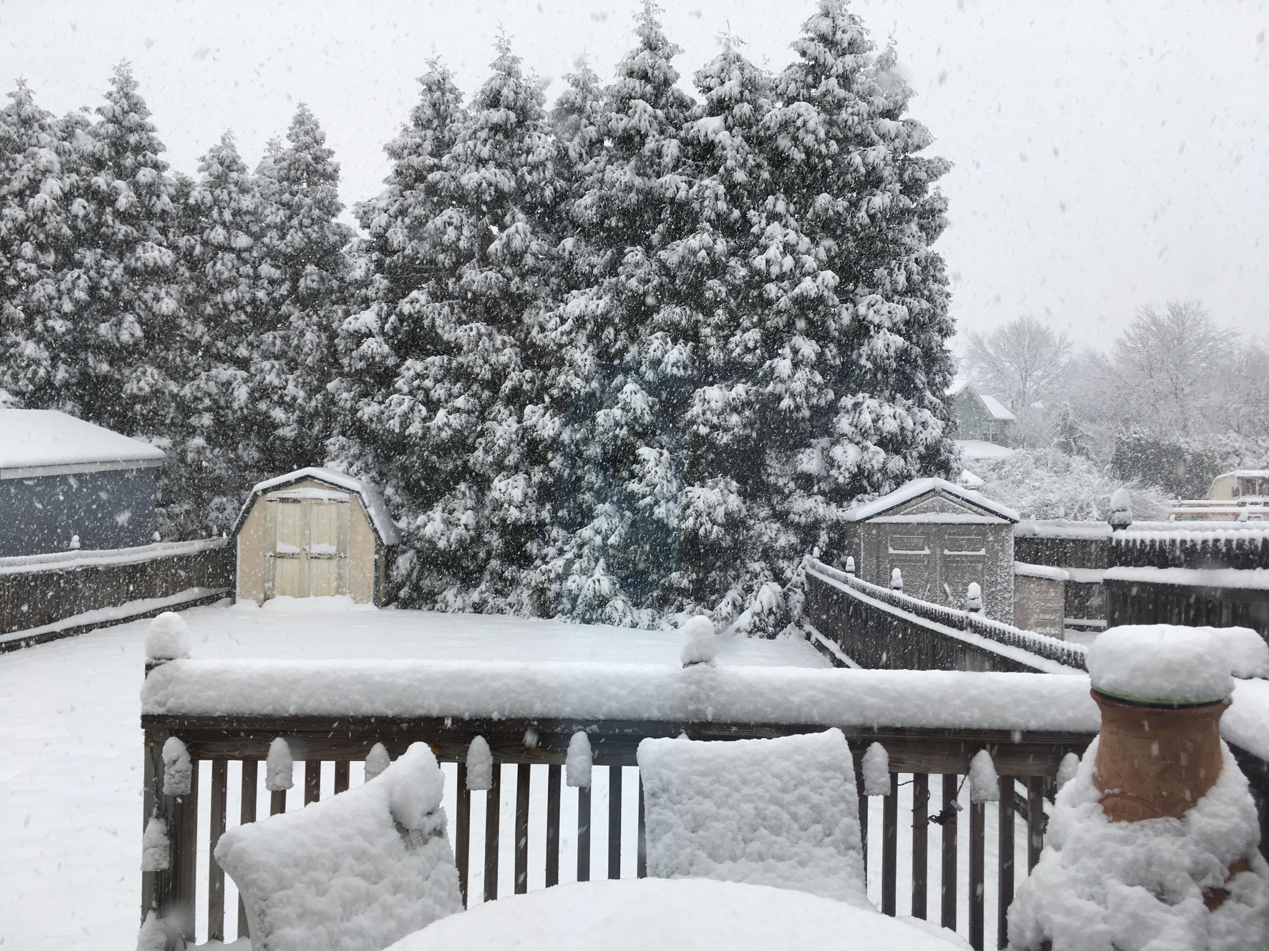 The Dichotomy of a Snow Day | Rita DiCarne
